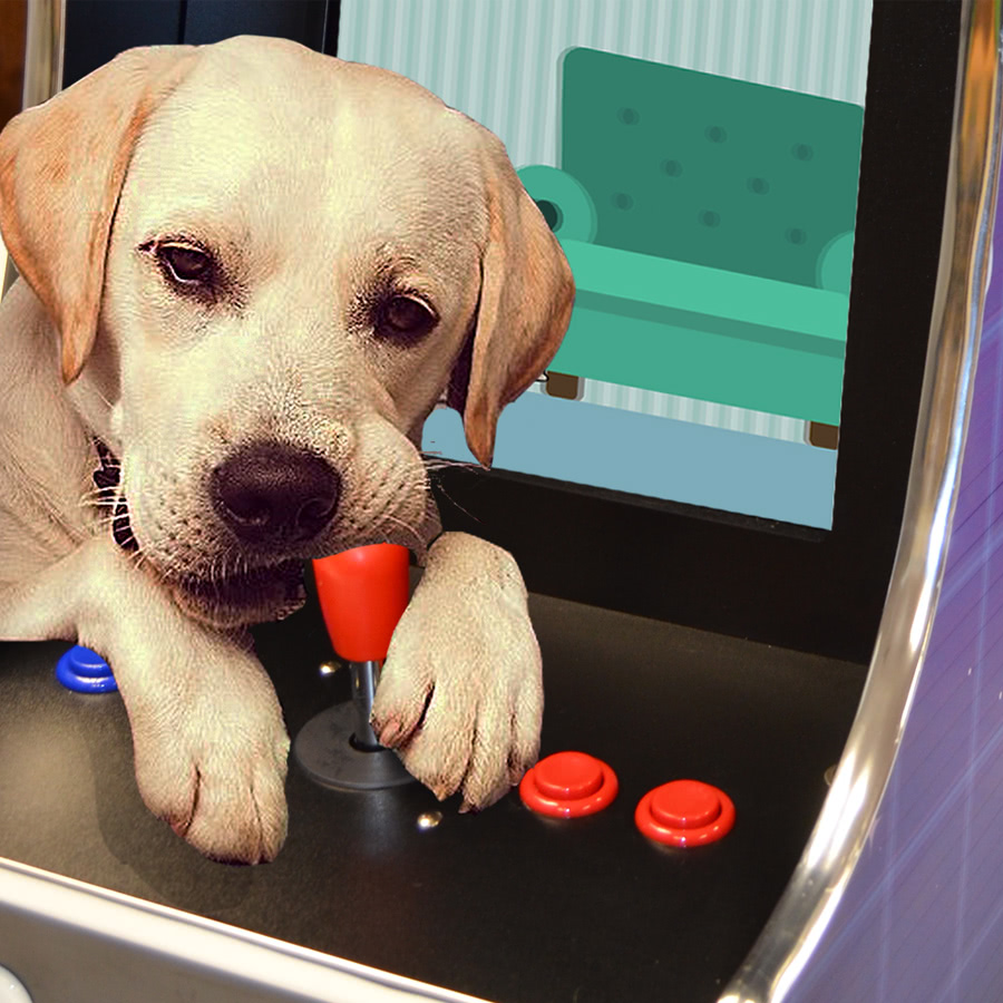 Barkade Multiplay Arcade | Liberty Games