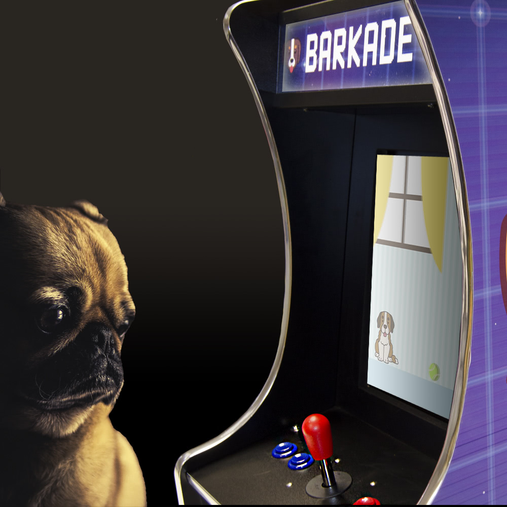 Barkade Multiplay Arcade | Liberty Games