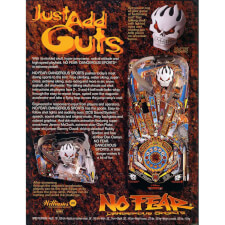 No Fear: Dangerous Sports Pinball Machine For Sale | Liberty Games