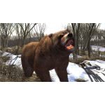 Namco Big Buck HD Arcade Machine | Liberty Games