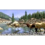 Namco Big Buck HD Arcade Machine | Liberty Games