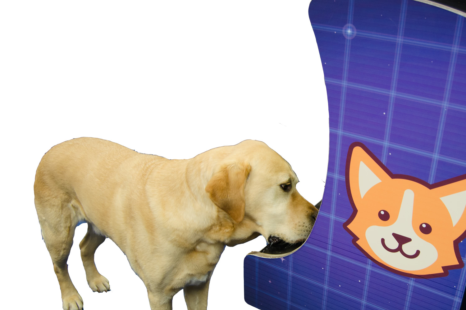 Barkade Multiplay Arcade | Liberty Games